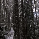 Index Town Wall Trail, Washington - 737 Reviews, Map | AllTrails