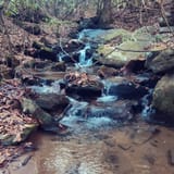 Bartram Trail: Wallace Branch to William's Pulpit, North Carolina ...
