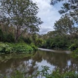 Lane Cove Riverside Walk, New South Wales, Australia - 1,381 Reviews ...