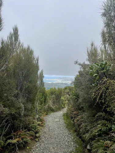 10 Best Trails and Hikes in Dunedin | AllTrails