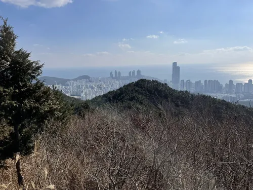 Los mejores senderos y rutas en Jangsan District Park | AllTrails