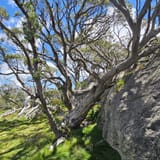 Porcupine Rocks Loop, New South Wales, Australia - 47 Reviews, Map ...