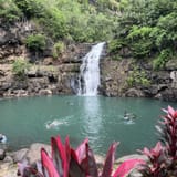 Waimea Valley Trail, Oahu, Hawaii - 1,495 Reviews, Map | AllTrails