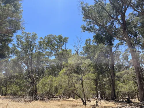Best Hikes and Trails in Tuart Forest National Park | AllTrails