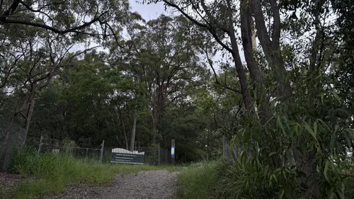 Best Hikes and Trails in Stephens Mountain Reserve | AllTrails