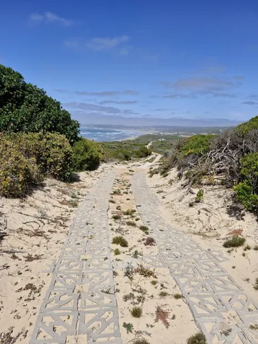 Best Hikes and Trails in Still Bay | AllTrails