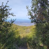 Agua Tibia Full Loop Trail, California - 223 Reviews, Map | AllTrails