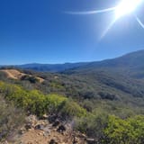 Agua Tibia Full Loop Trail, California - 223 Reviews, Map | AllTrails