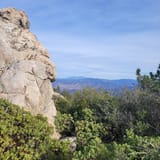 Agua Tibia Full Loop Trail, California - 223 Reviews, Map | AllTrails