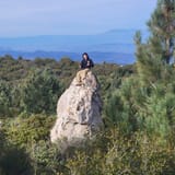 Agua Tibia Full Loop Trail, California - 223 Reviews, Map | AllTrails