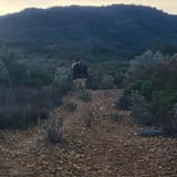 Agua Tibia Full Loop Trail, California - 223 Reviews, Map | AllTrails