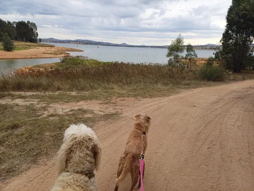 Best Hikes and Trails in Bowna Waters Reserve | AllTrails