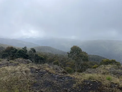 Best Off Road Driving Trails in Alpine National Park | AllTrails