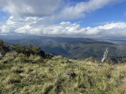 Best Off Road Driving Trails in Alpine National Park | AllTrails