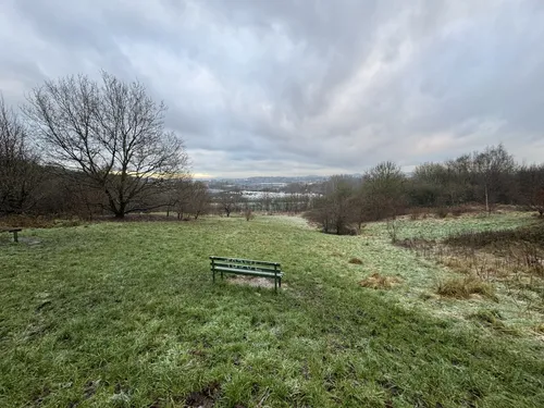 Best Hikes and Trails in Hartshill Park | AllTrails