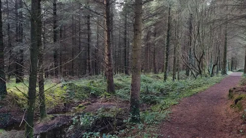 Best Walking Trails in Tinahely | AllTrails