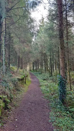 Best Walking Trails in Tinahely | AllTrails