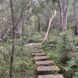 Trachyte Circuit, Queensland, Australia - 226 Reviews, Map | AllTrails