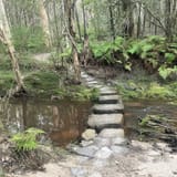 Trachyte Circuit, Queensland, Australia - 226 Reviews, Map | AllTrails