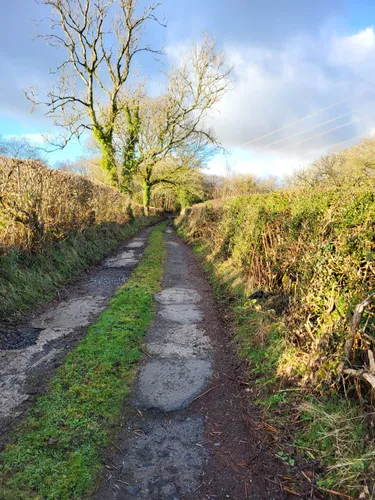 Best Hikes and Trails in Penllergaer Forest | AllTrails