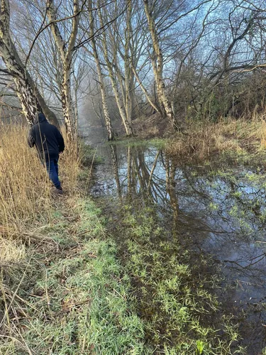 Best 10 Hiking Trails in Moore Nature Reserve | AllTrails