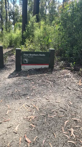 Best Backpacking Trails in Bunyip State Park | AllTrails