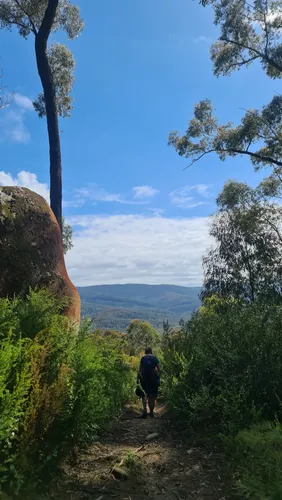 Best Backpacking Trails in Bunyip State Park | AllTrails