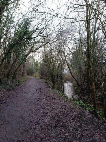 Best Hikes and Trails in Dams to Darnley Country Park | AllTrails