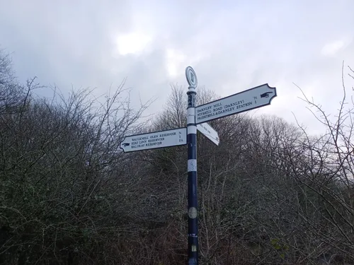 Best Hikes and Trails in Dams to Darnley Country Park | AllTrails