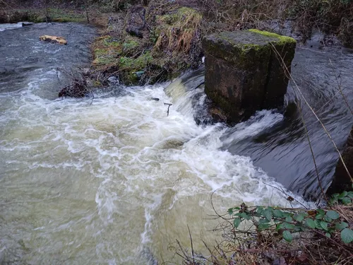 Best Hikes and Trails in Dams to Darnley Country Park | AllTrails