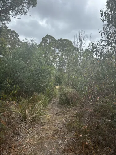 Best Hikes and Trails in Lower Snug - Coningham | AllTrails