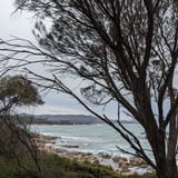 Skeleton Bay to Skeleton Point, Tasmania, Australia - 69 Reviews, Map ...