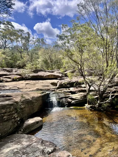 10 Best Hikes and Trails in Brisbane Water National Park | AllTrails