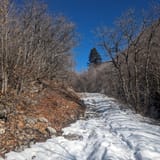 Spring Canyon Trail, Utah - 401 Reviews, Map | AllTrails