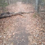 Capen Park Trail, Missouri - 130 Reviews, Map | AllTrails