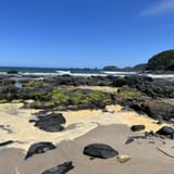 Bushranger Bay Walk, Victoria, Australia - 270 Reviews, Map | AllTrails