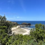 Bushranger Bay Walk, Victoria, Australia - 270 Reviews, Map | AllTrails