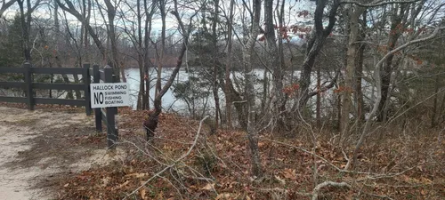 Best Hikes and Trails in Hallock State Park Preserve | AllTrails