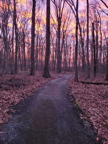 Best Hikes and Trails in Boardman Park | AllTrails