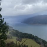 Cape Horn Loop Trail, Washington - 4,281 Reviews, Map | AllTrails