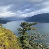 Cape Horn Loop Trail, Washington - 4,281 Reviews, Map | AllTrails