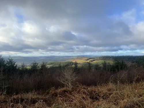 Best Hikes and Trails in Mortimer Forest | AllTrails