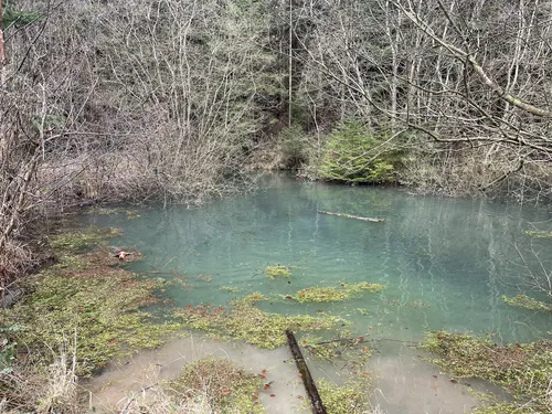 Best Hikes and Trails in Mortimer Forest | AllTrails