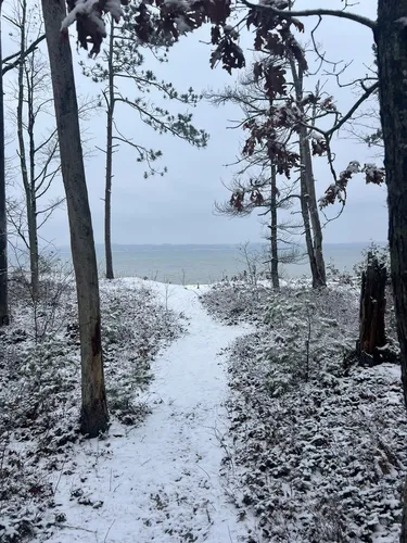 Best Hikes and Trails in Maple Bay Natural Area | AllTrails