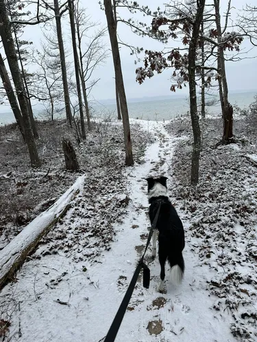 Best Hikes and Trails in Maple Bay Natural Area | AllTrails