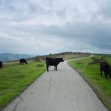 Nimitz Way, California - 1,646 Reviews, Map | AllTrails