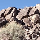 Signal Hill Trail, Arizona - 1,194 Reviews, Map | AllTrails
