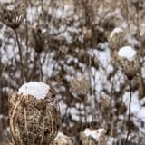 Crahen Valley Park Loop, Michigan - 1,318 Reviews, Map | AllTrails