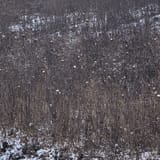 Crahen Valley Park Loop, Michigan - 1,318 Reviews, Map | AllTrails