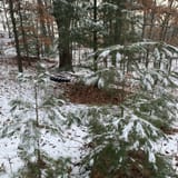 Crahen Valley Park Loop, Michigan - 1,318 Reviews, Map | AllTrails